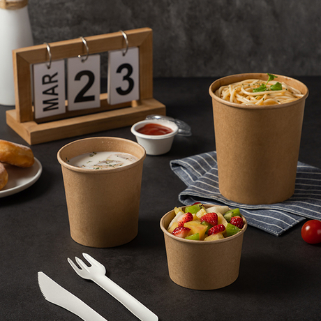 Biodegradable Disposable Tableware Made from Sugarcane Pulp: A ...