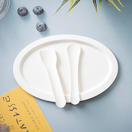 Is sugar cane pulp environmentally friendly disposable plates and ...