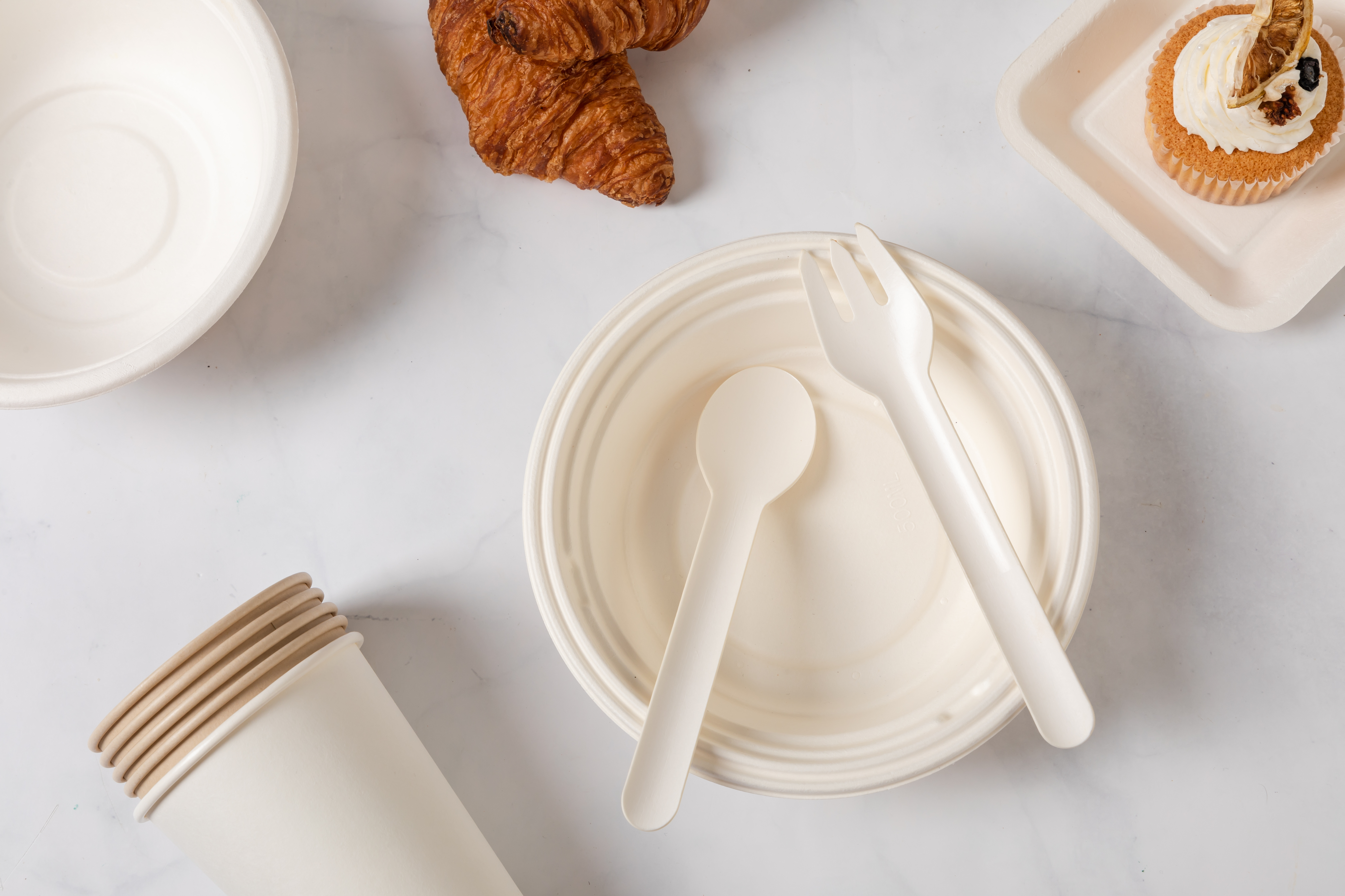 Is sugar cane pulp environmentally friendly disposable plates and ...