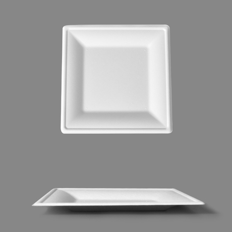 8 inch square plate - Buy 8 inch square plate, biodegradable container ...